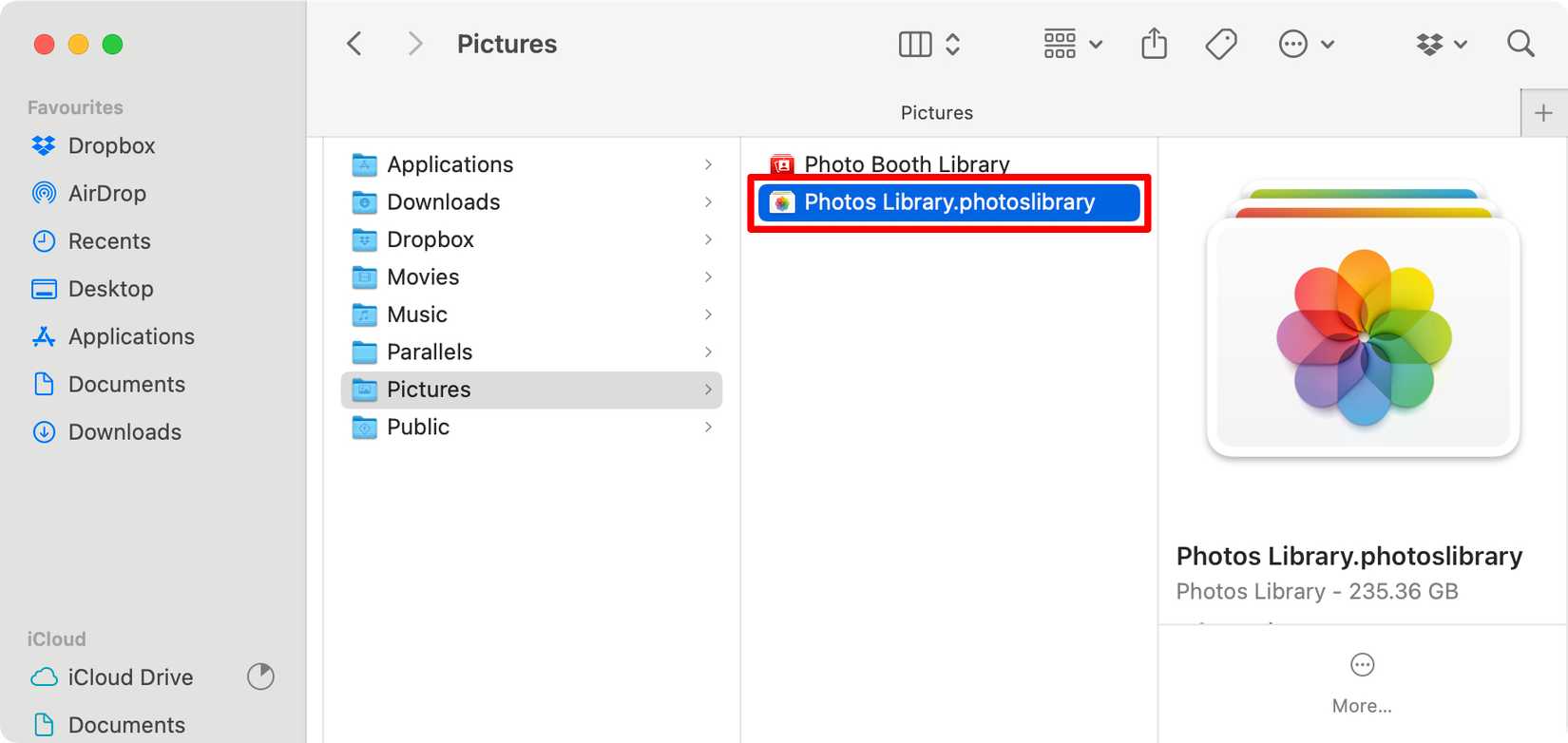 How to Actually Back Up Your iCloud Photo Library Offline