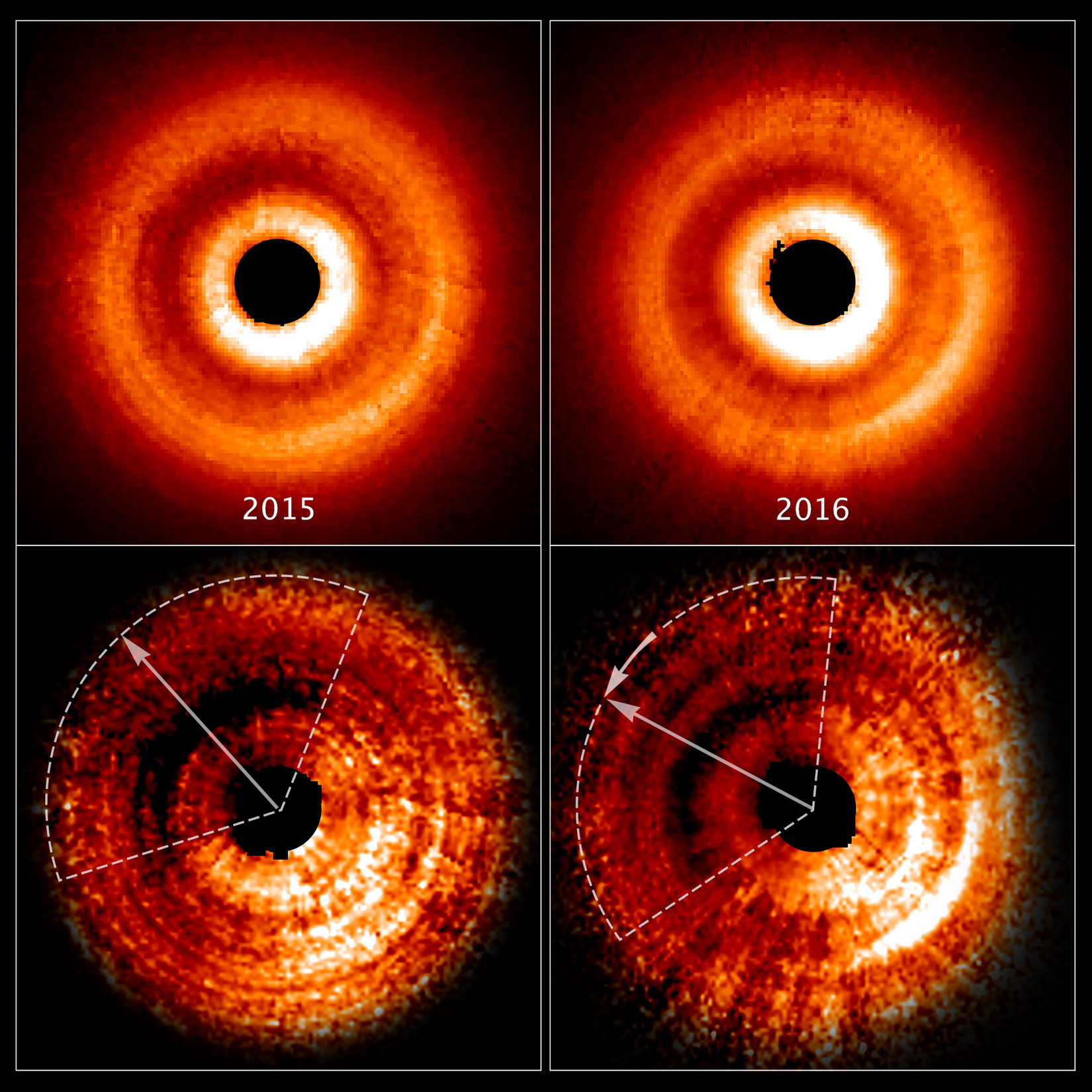 Meet the Loneliest Planets in the Universe