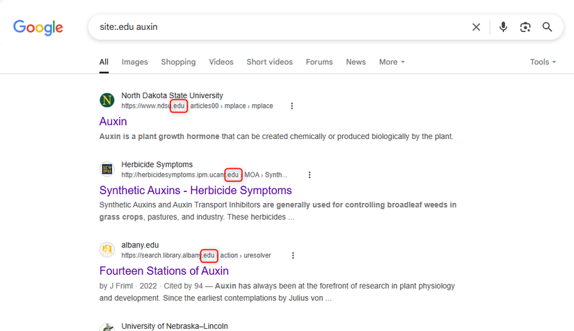 How to Get Better Search Results on Google