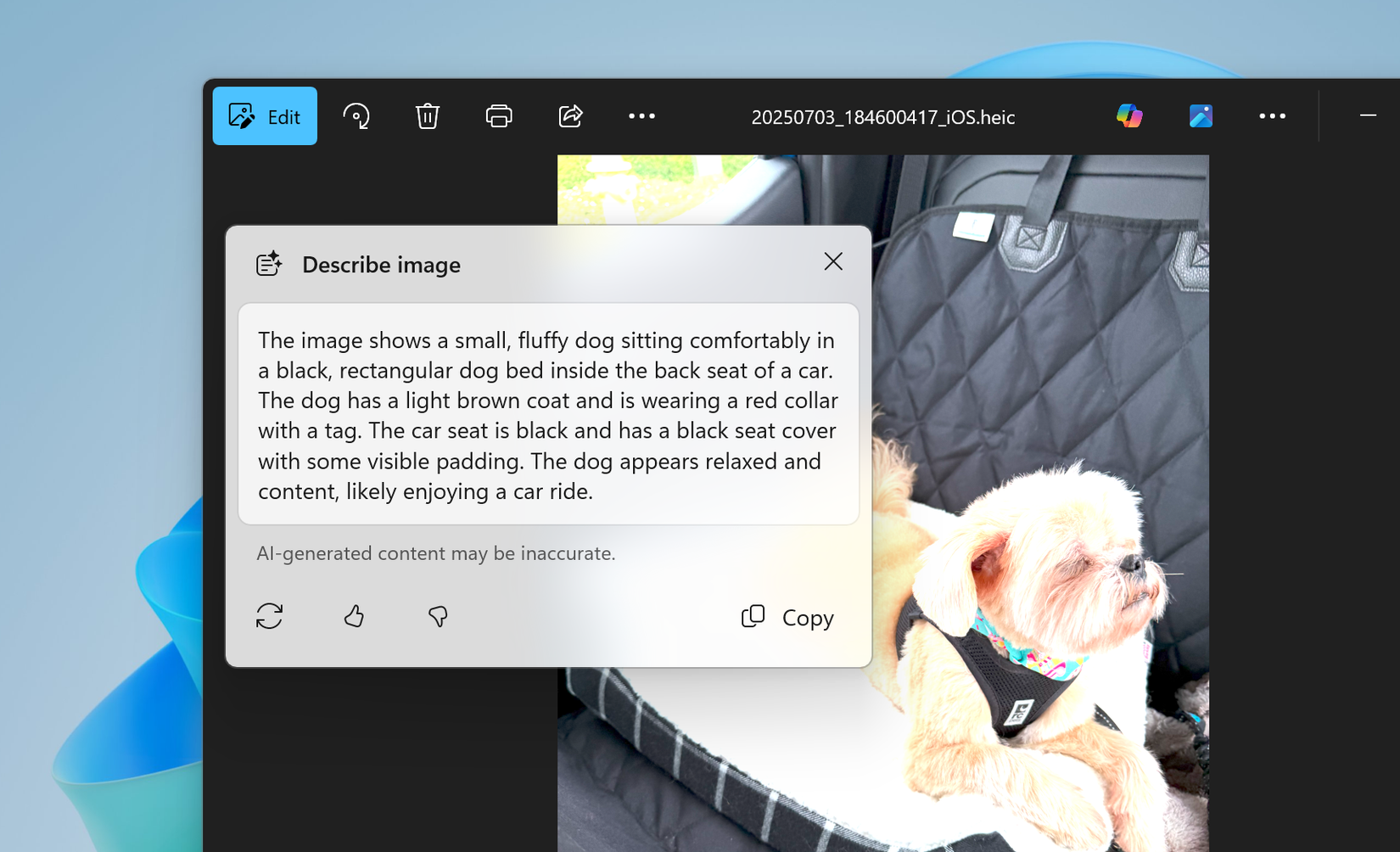 Windows 11 Will Soon Describe Images to You