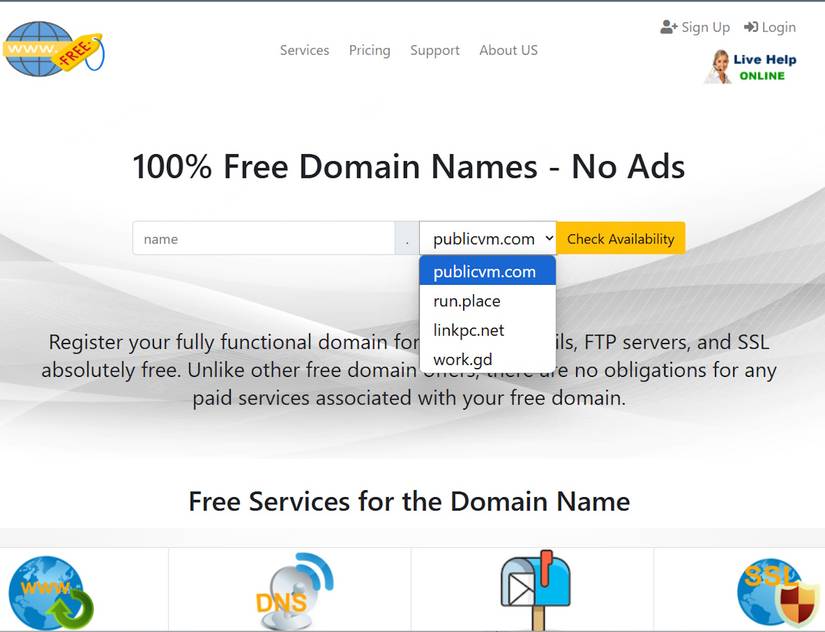 Is a Free Domain Name Service Worth It? I Tried One and Here's My Two Cents