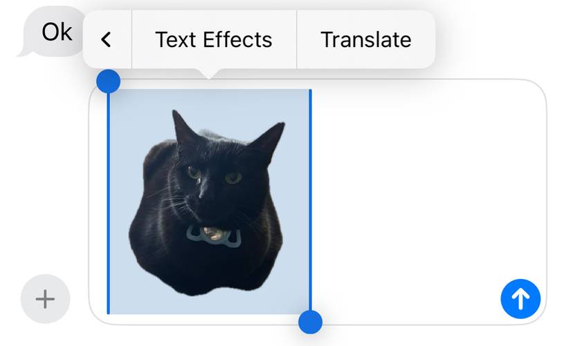 How to "Animate" Emoji on iPhone, iPad, and Mac With Text Effects