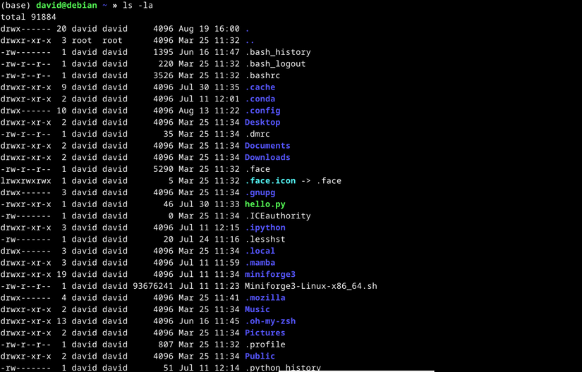 The Linux Terminal for Beginners