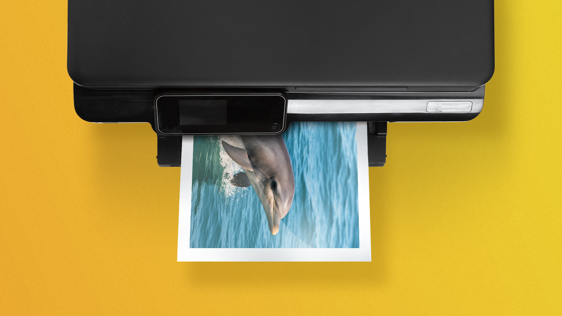 What Is DTF (Direct To Film) Printing?