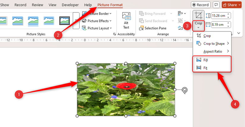 How to Crop Pictures in Microsoft Word, Excel, and PowerPoint