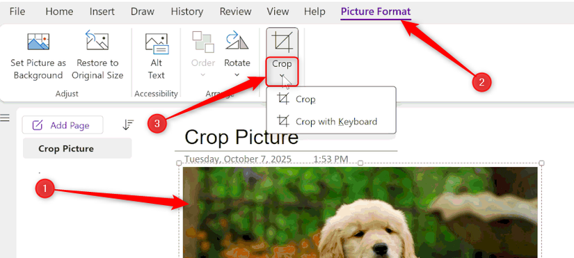 Microsoft OneNote Finally Has a Tool We've All Been Waiting For