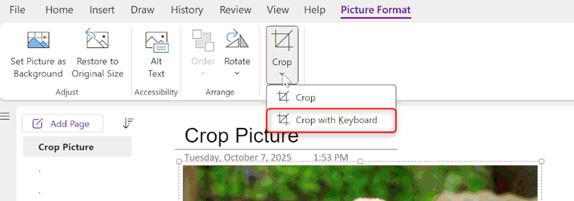 Microsoft OneNote Finally Has a Tool We've All Been Waiting For