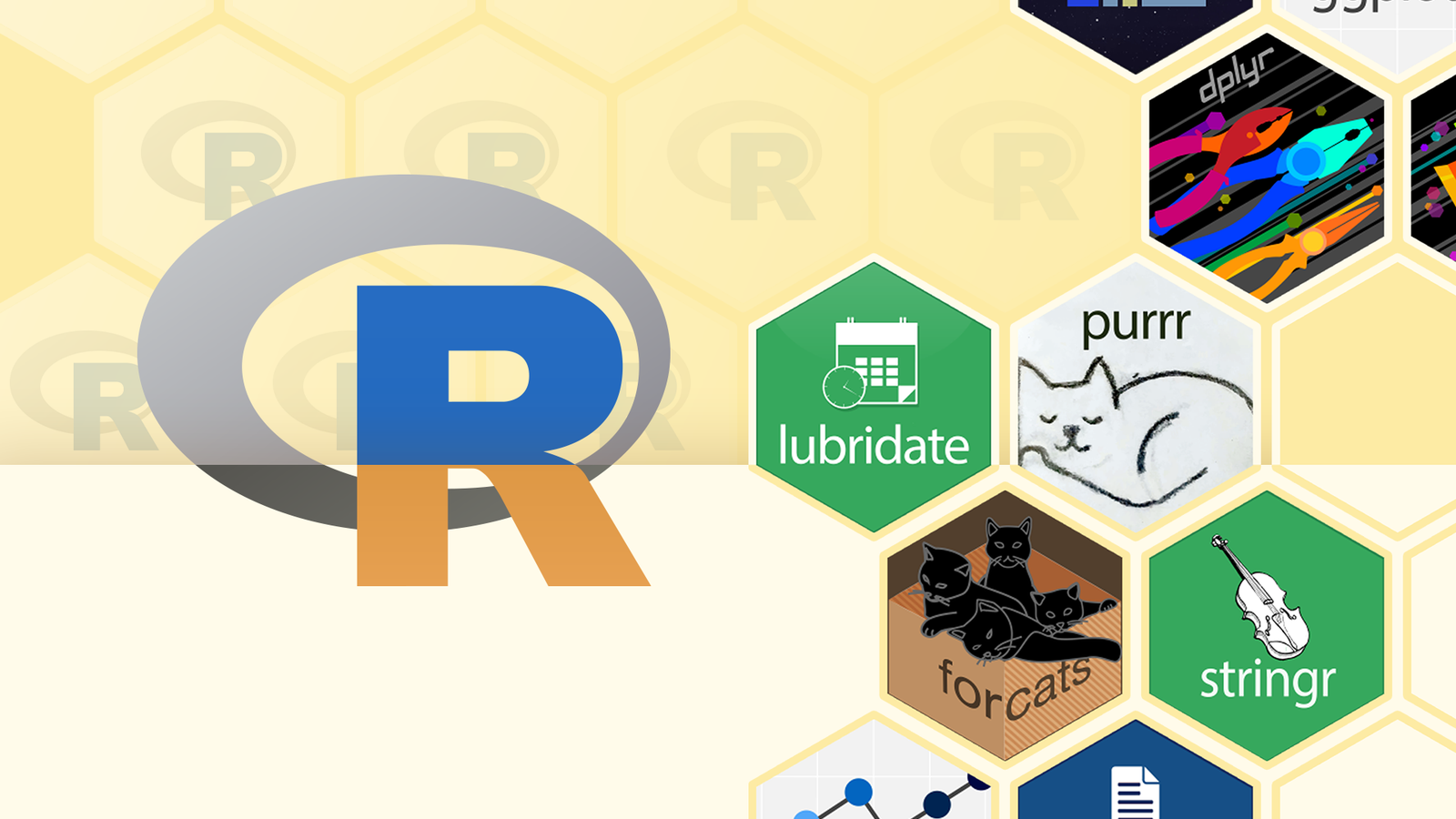 I Use Python, but I’m Learning R and the Tidyverse for Data Analysis Too