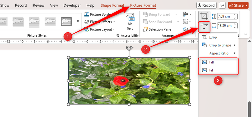 How to Crop Pictures in Microsoft Word, Excel, and PowerPoint