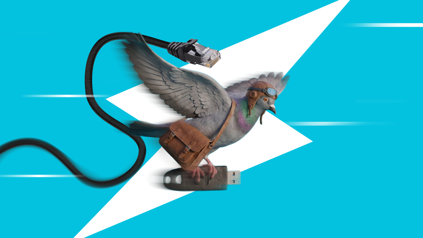 Pigeons vs. Gigabit fiber: Why the bird still wins in 2026