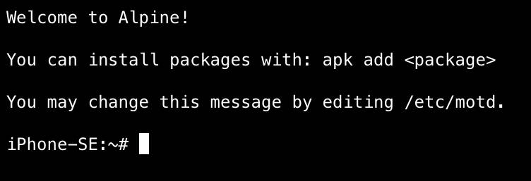How to Run a Linux Shell on iOS