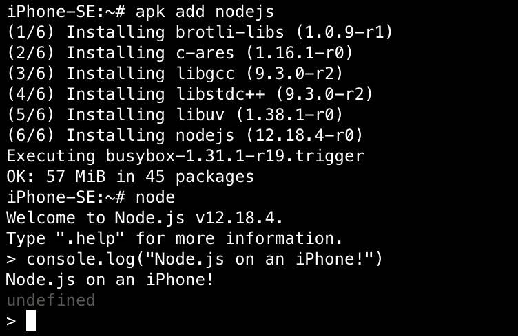 How to Run a Linux Shell on iOS