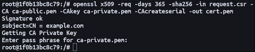 How to Secure Docker's TCP Socket With TLS