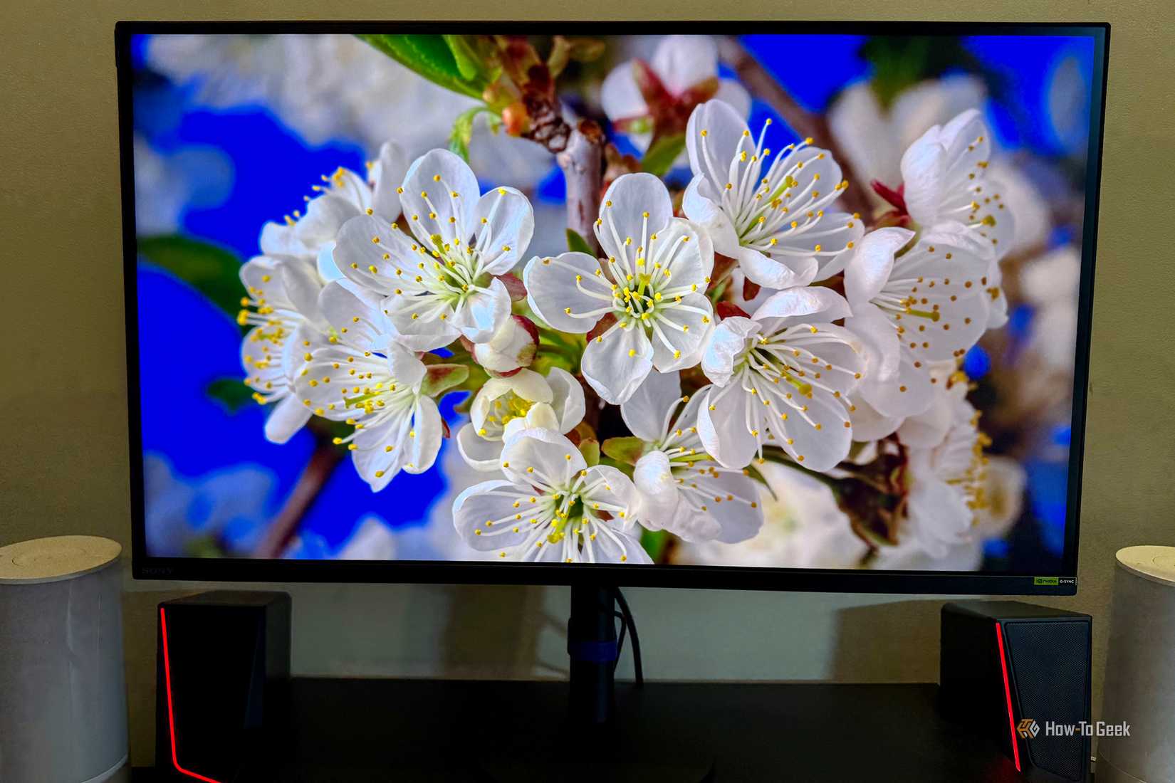 Sony Inzone M9 II Review: True 4K Performance Monitors For PCs and ...