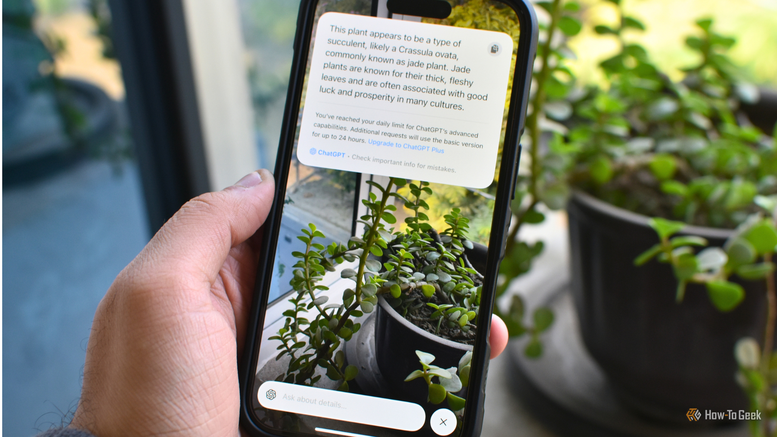Apple is Temporarily Disabling its Broken AI News Summaries