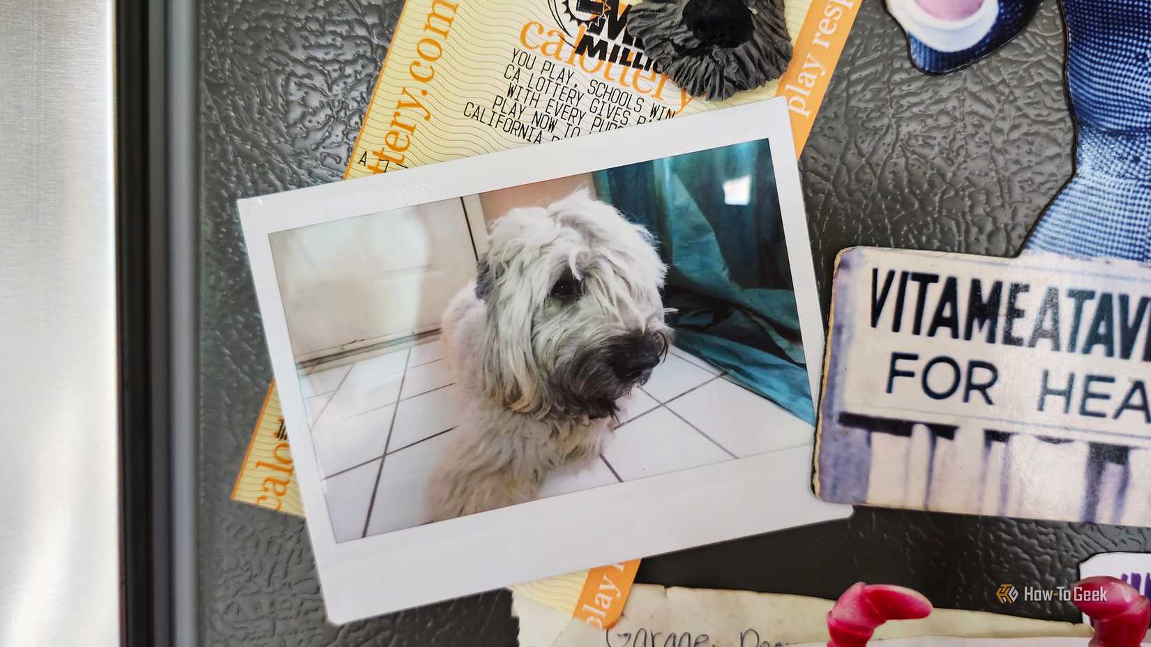 Fujifilm Instax WIDE Evo Hybrid Camera Review: A Convenient, Fun Little ...