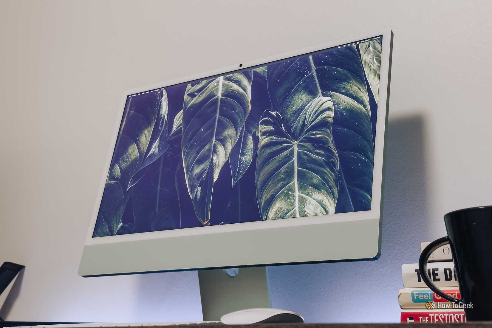 Who Is the iMac for in 2025? A Student’s Perspective