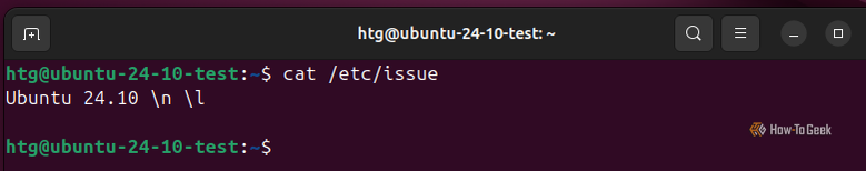 Ubuntu 24.10 'Oracular Oriole' Support Is About to End